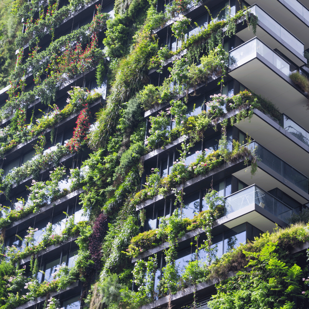 Career Opportunities in Carpentry - Vived Learning