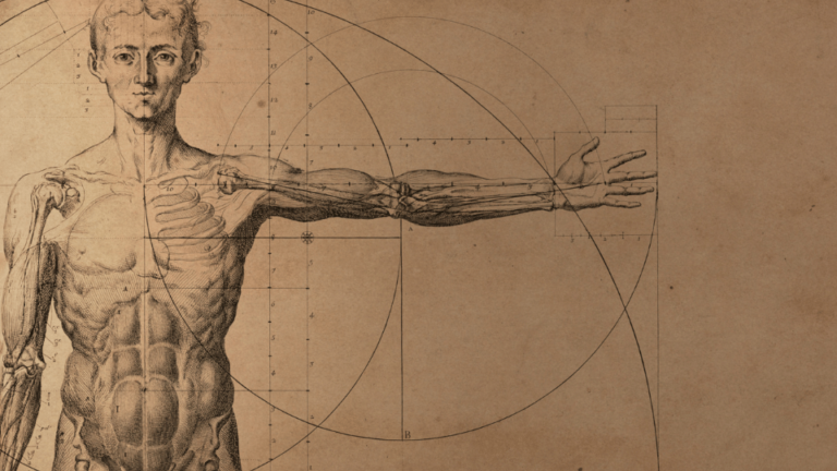 VIVED Anatomy Tutorial - Part 1 - Vived Learning